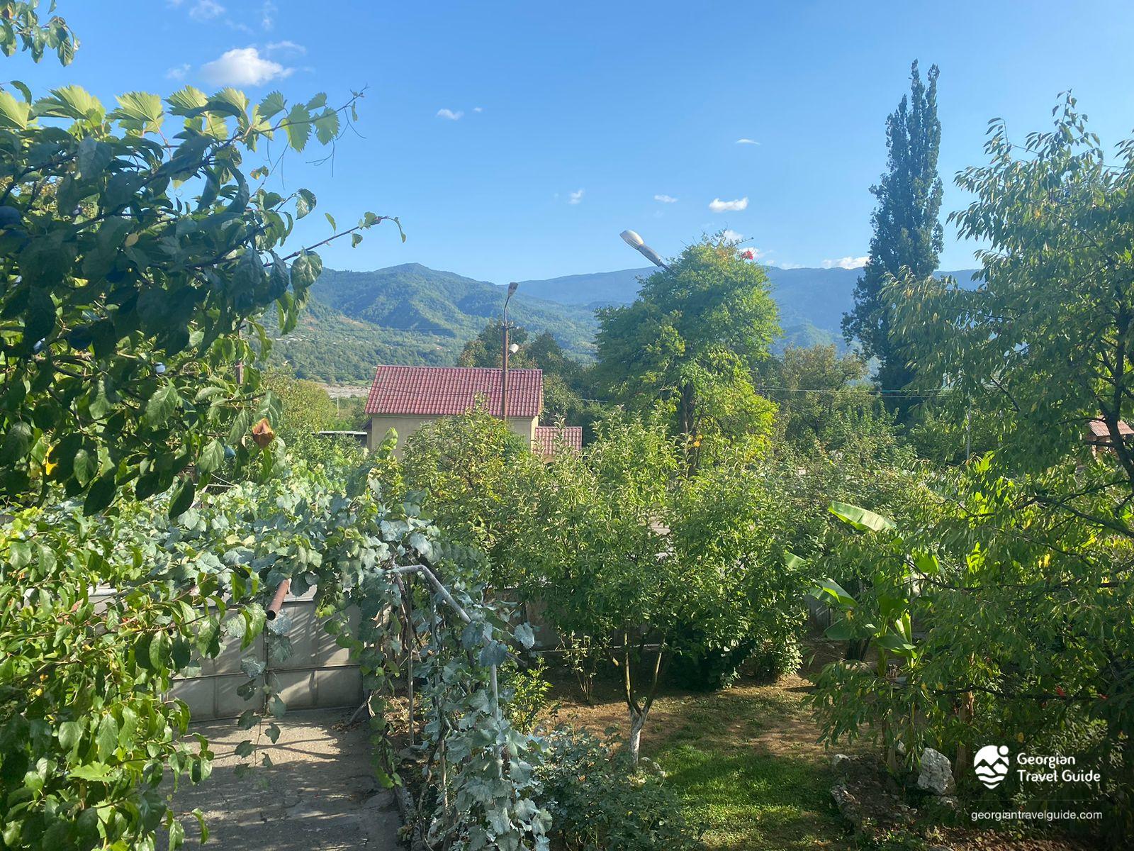 Guesthouse in village Chalistavi | Georgian Travel Guide